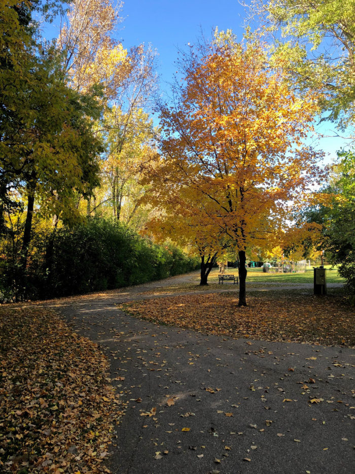 Some Pictures from Fall in Minnesota